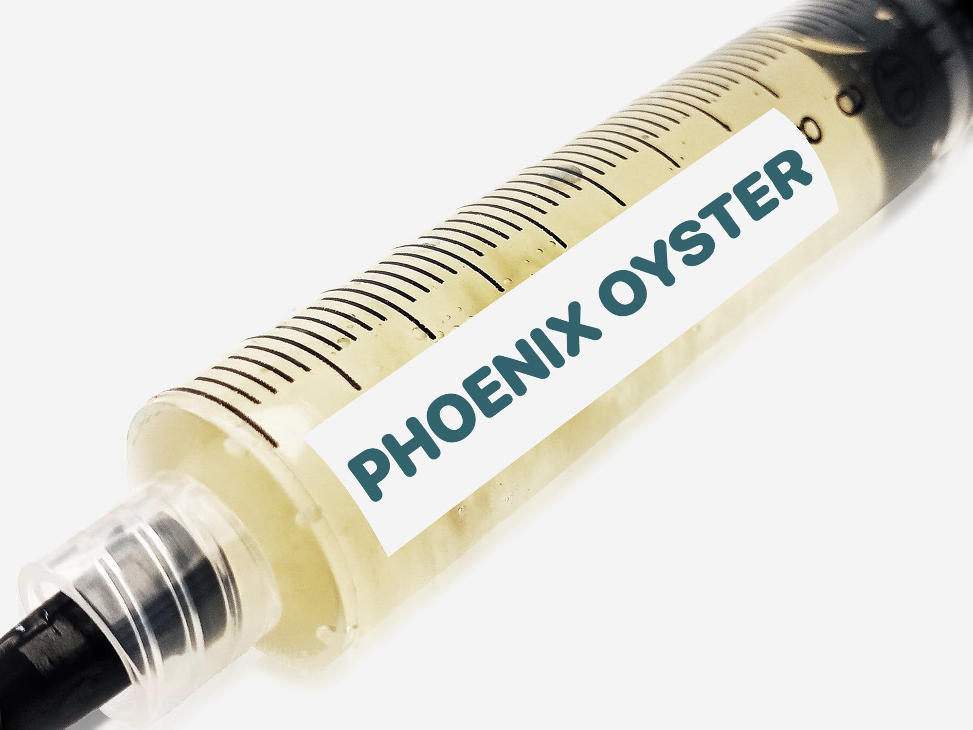 Phoenix Oyster Liquid Culture Syringe 10mL